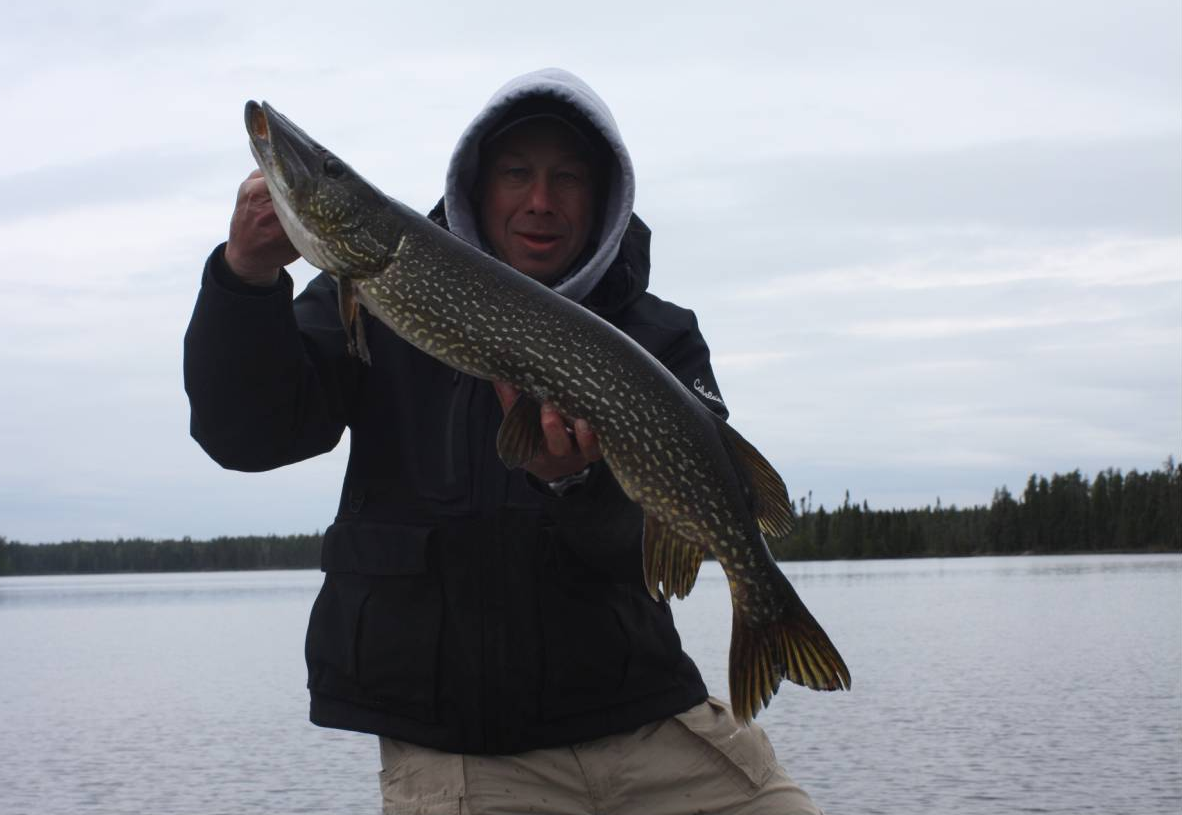 Specialty Food Distribution: Work Hard - Play Hard